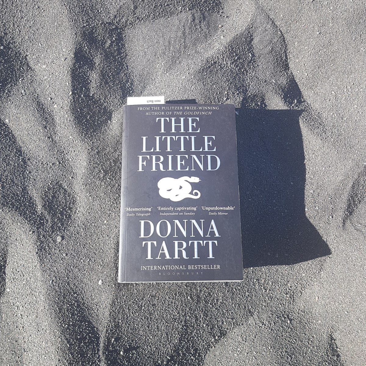 “The Little Friend” by Donna Tartt: storyteller of a generation ...