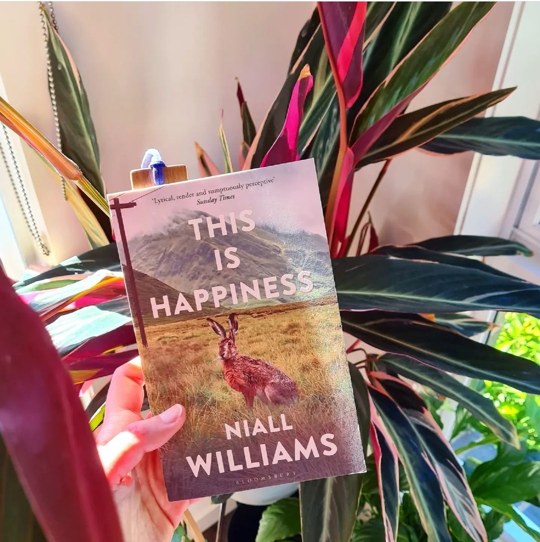 Review of Niall Williams “This Is Happiness”: when the rain stops in ...